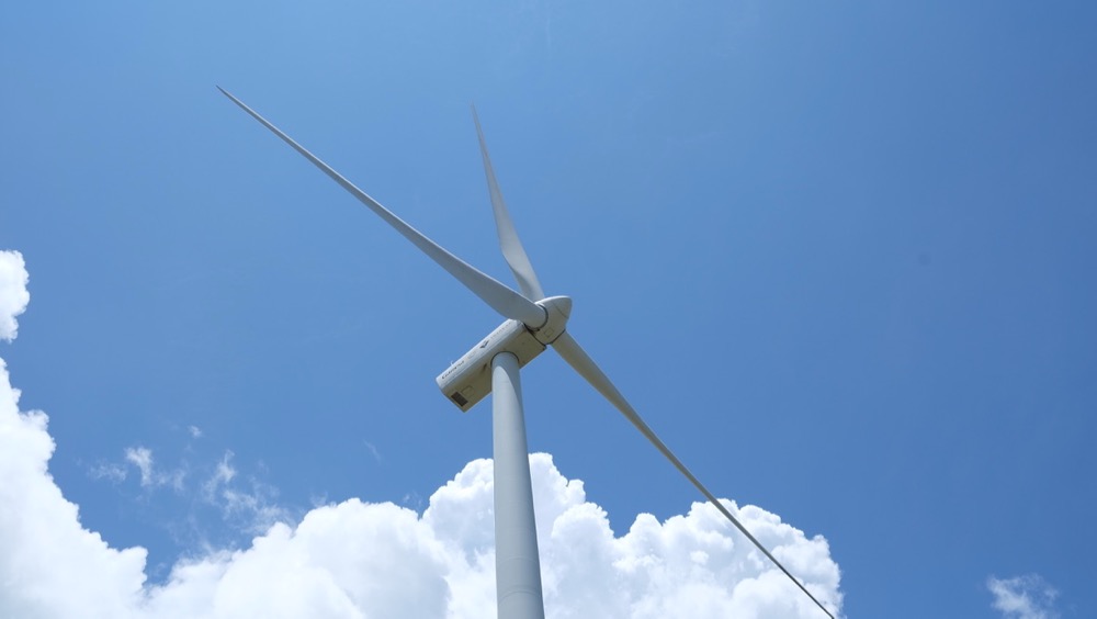 Top 10 Things to See in Guimaras in 1 Day or Less – Scribbling Neurons