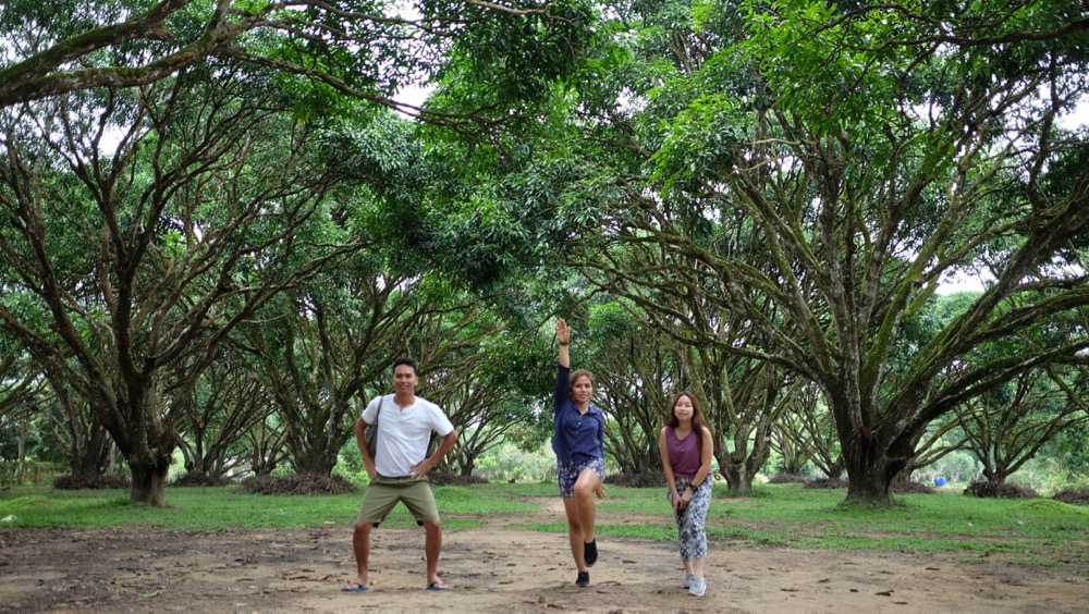 Top 10 Things to See in Guimaras in 1 Day or Less – Scribbling Neurons